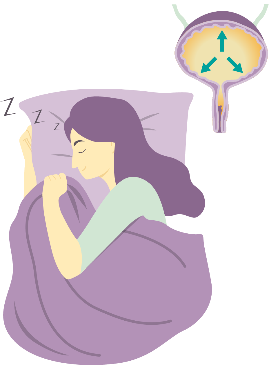 ¿Cuáles son los síntomas y causas de la enuresis en los adultos? - CUAN ...