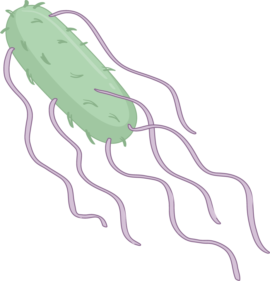 ¿Qué es la prostatitis aguda bacteriana? - CUAN Hospital - Centro de ...
