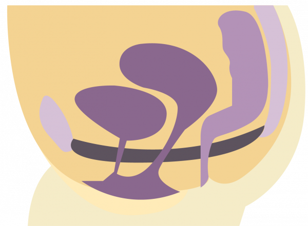 ¿Cuáles son los tipos y grados de los prolapsos? - CUAN Hospital ...